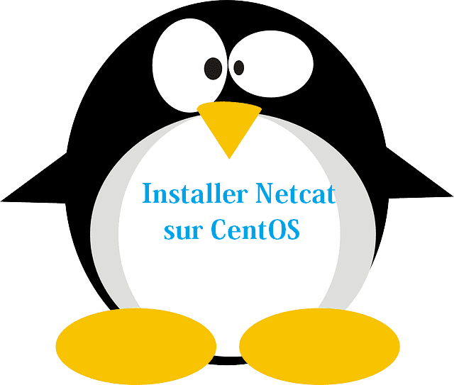 Comment installer Netcat sur CentOS 7/8 - SysReseau.net Comment installer Netcat sur CentOS 7/8 - SysReseau.net